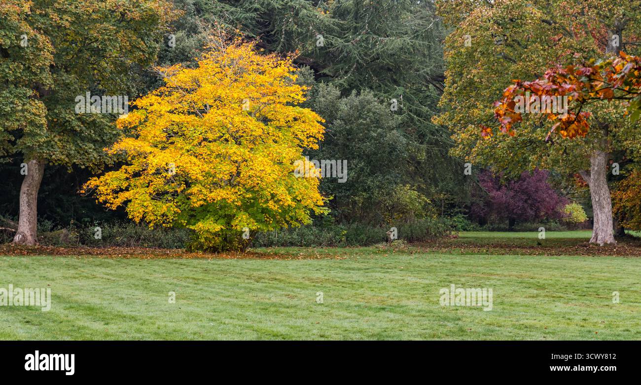 Carberry estate hi-res stock photography and images - Alamy