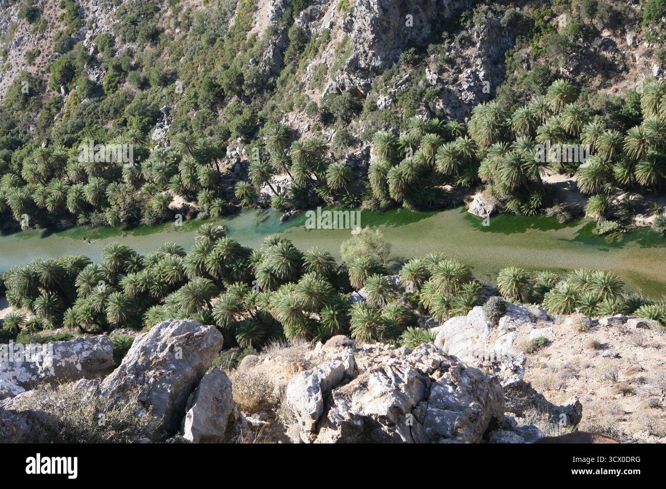 The oasis like gorge where the Megalos Potamos River runs to the sea at ...
