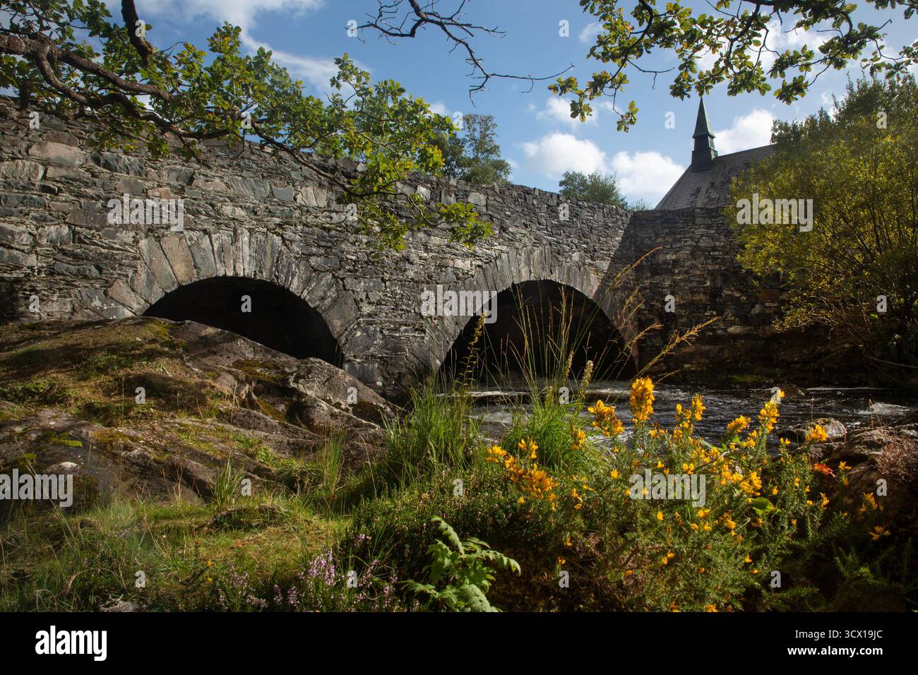 Bridge and church with river on the Kerry Way in Killarney National ...