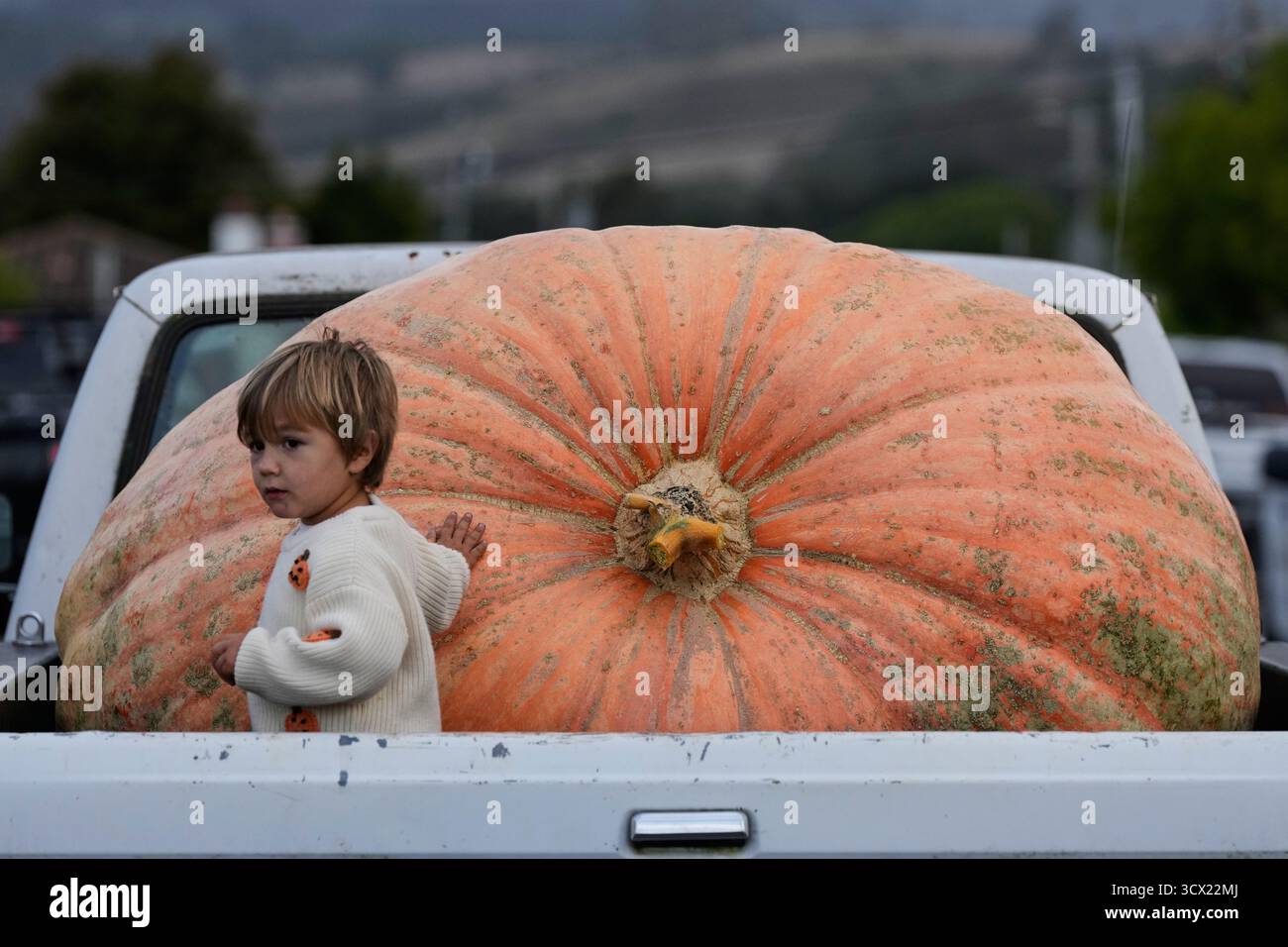 Roman Dawson touches a giant pumpkin inside the bed of a pick-up truck at the 52nd annual World ...
