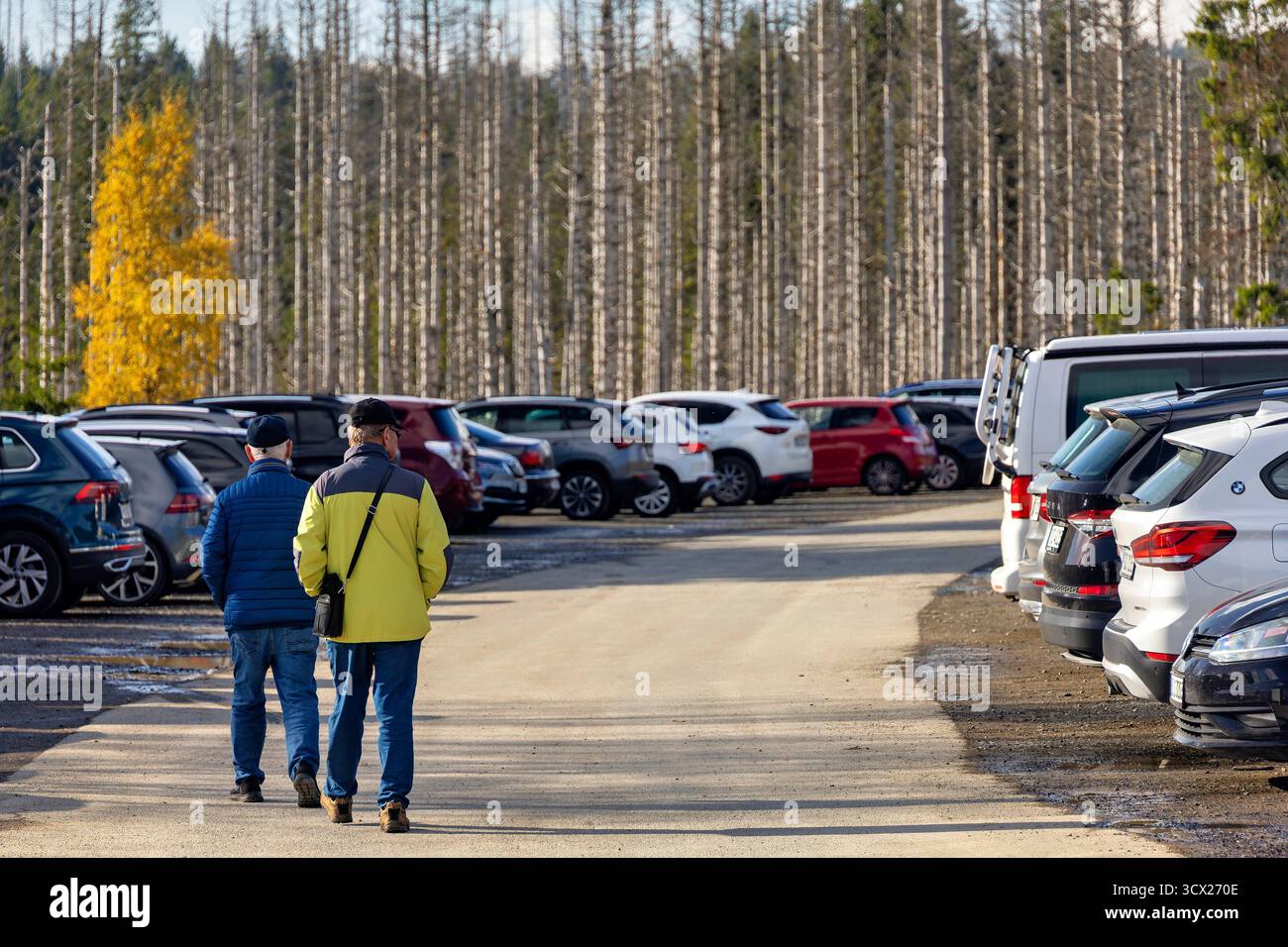 Schone Parkplatz Fullekuhle Goslar Bilder