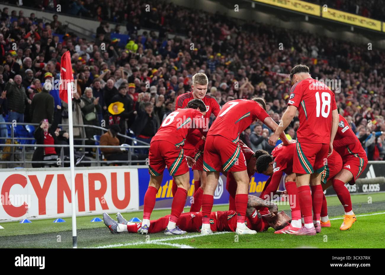 Wales' Joe Rodon celebrates scoring their side's first goal of the game ...