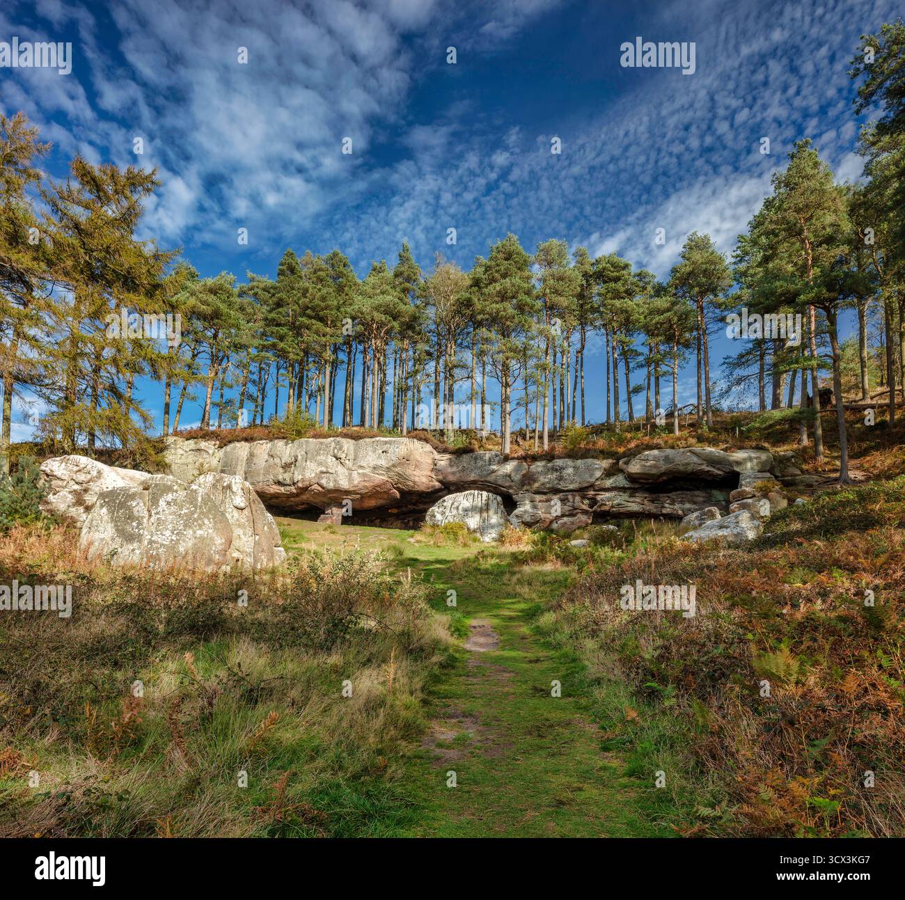 A view in late Summer on a sunny day of St Cuthbert's Cave in the Kyloe ...