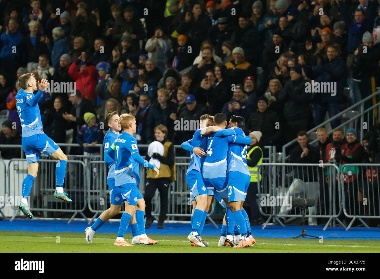 Iceland players celebrate after Victor Palsson, 2nd right, scored the ...