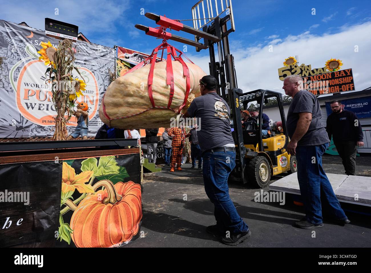 A giant pumpkin is moved onto the scale to be weighed at the 52nd ...
