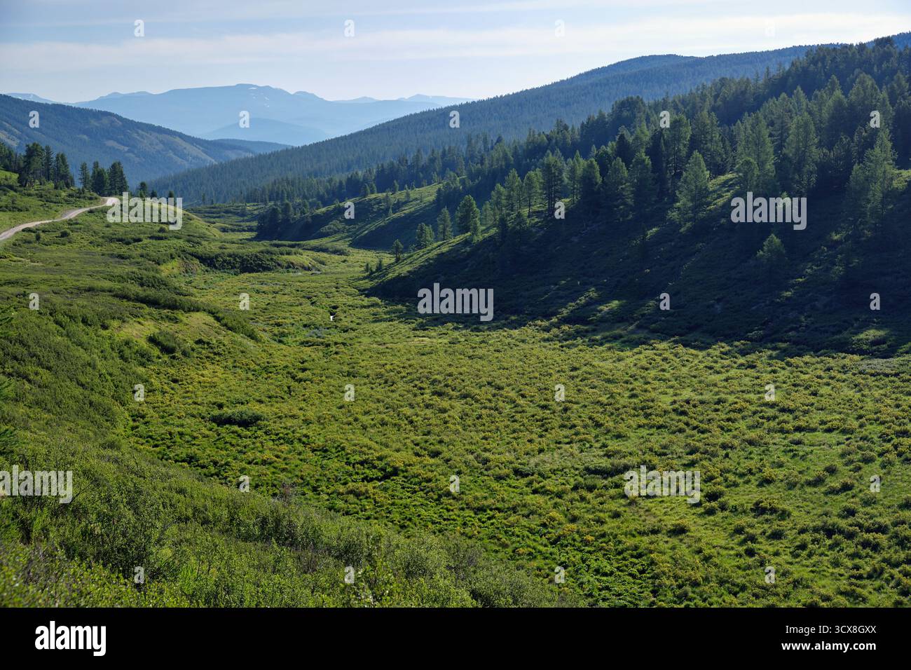 Yazula (other name Azhu,) mountain pass road in Altai. The valley of a ...