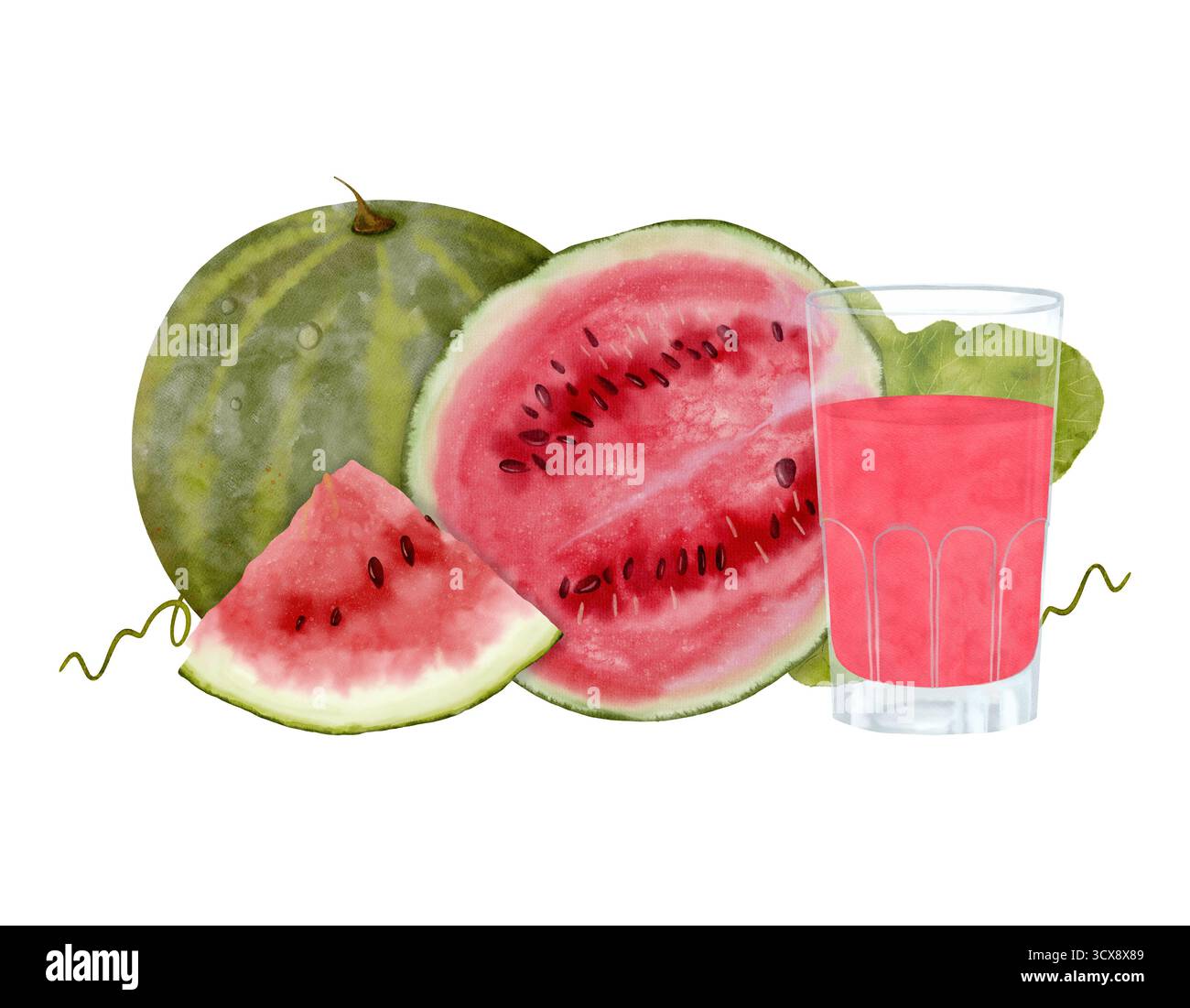 The colorful illustration features a whole ripe watermelon, sliced ...