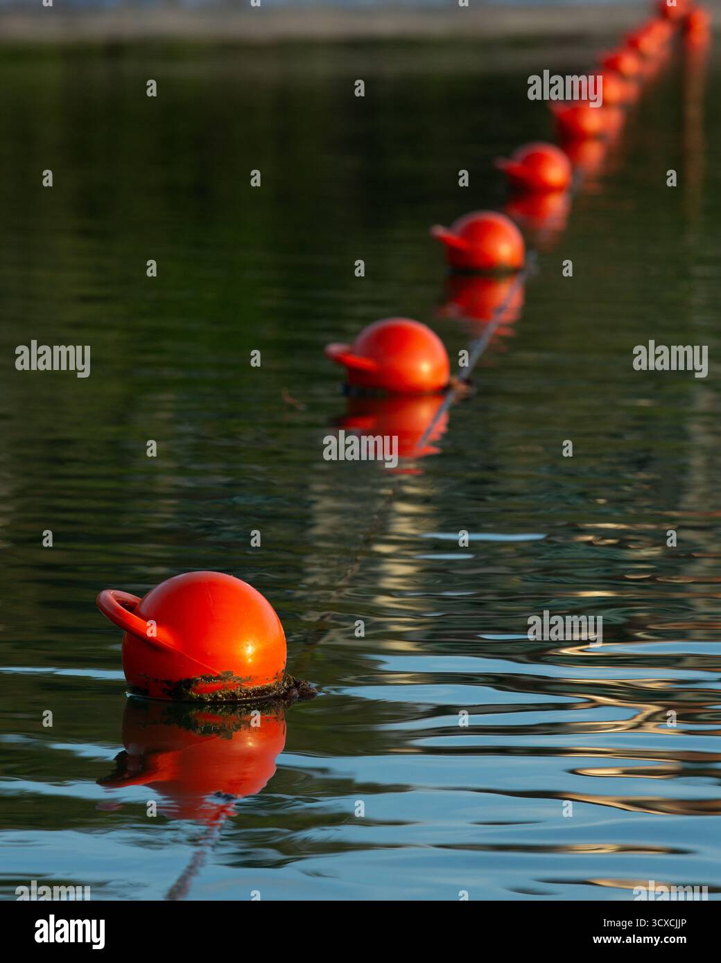 A line of red buoys floats on calm water, connected by a rope Stock ...