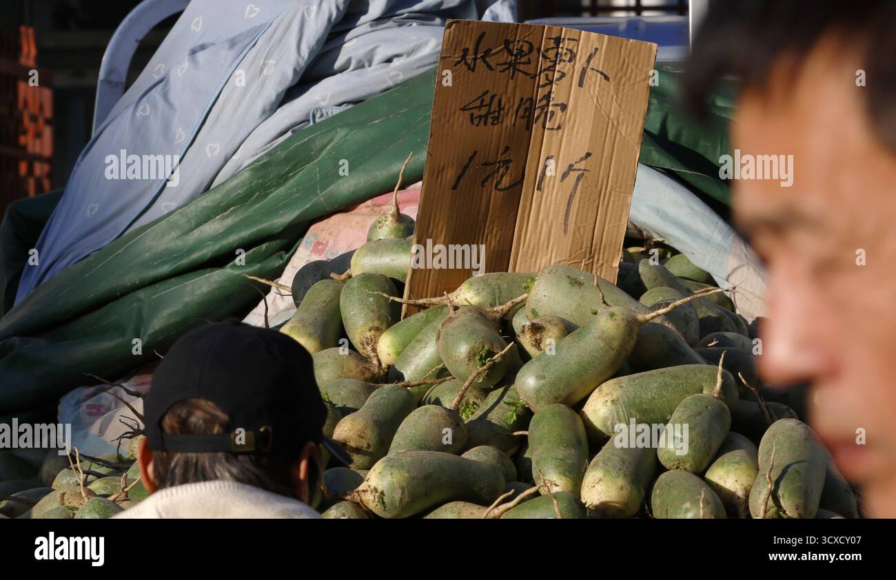 Citizens begin to hoard autumn vegetables for winter in Harbin City ...