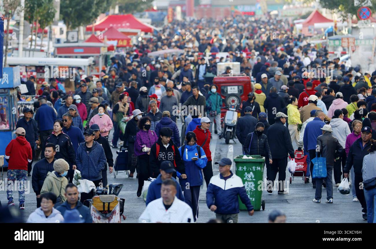Citizens begin to hoard autumn vegetables for winter in Harbin City ...
