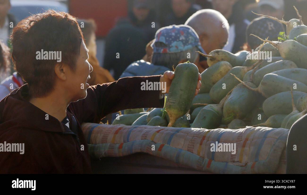 Citizens begin to hoard autumn vegetables for winter in Harbin City ...