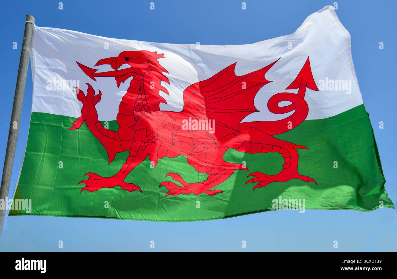 Dragón de gales hi-res stock photography and images - Alamy