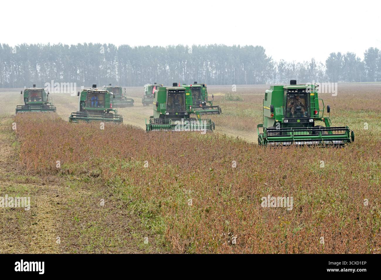 Farmers harvest crops in the field in Huainan City, east China's Anhui ...