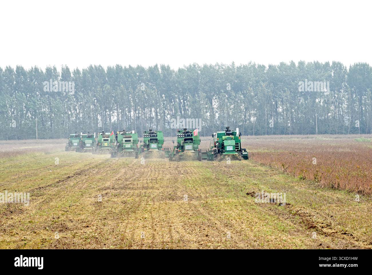 Farmers harvest crops in the field in Huainan City, east China's Anhui ...