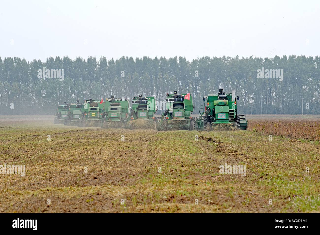 Farmers harvest crops in the field in Huainan City, east China's Anhui ...