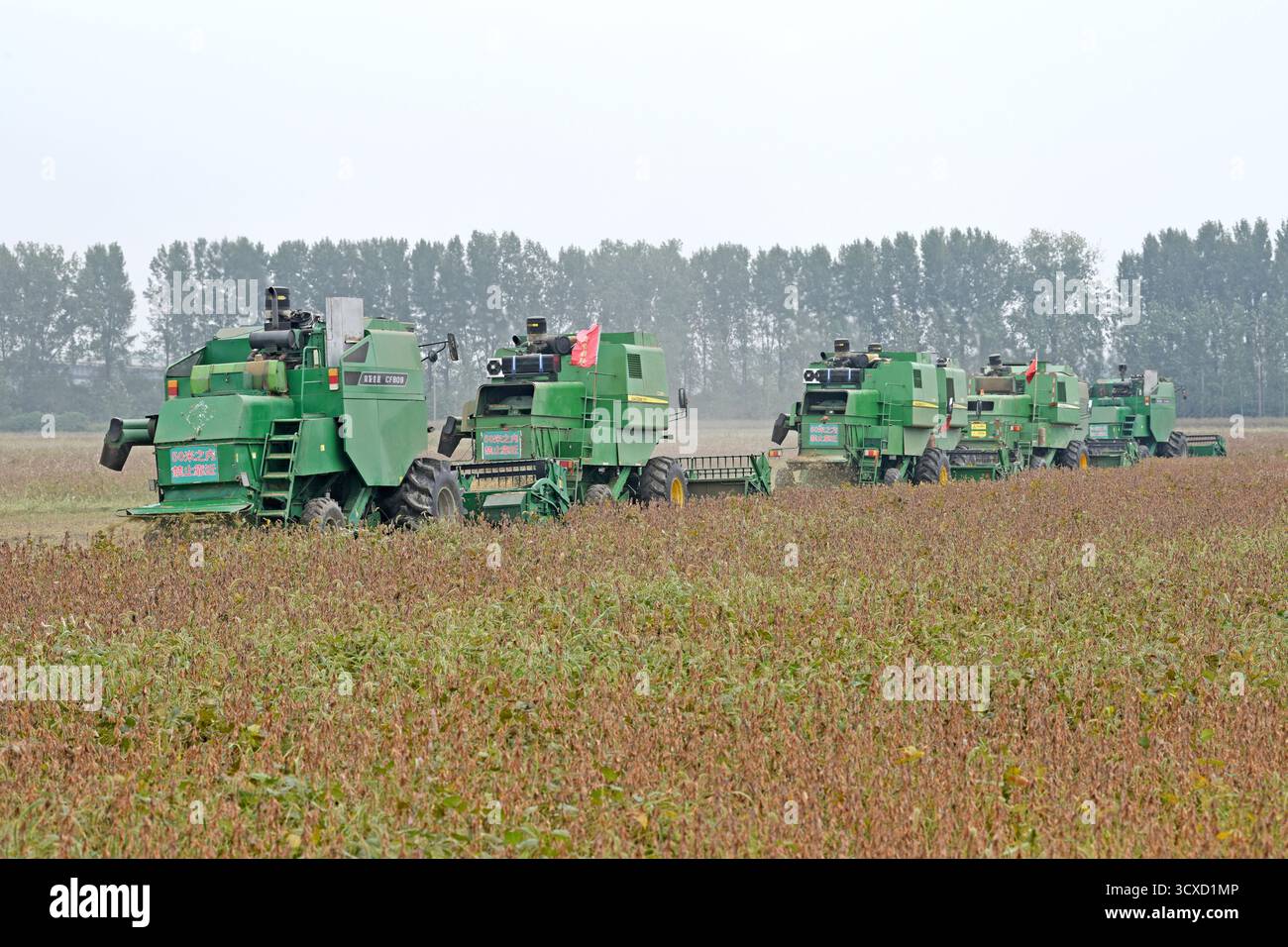 Farmers harvest crops in the field in Huainan City, east China's Anhui ...