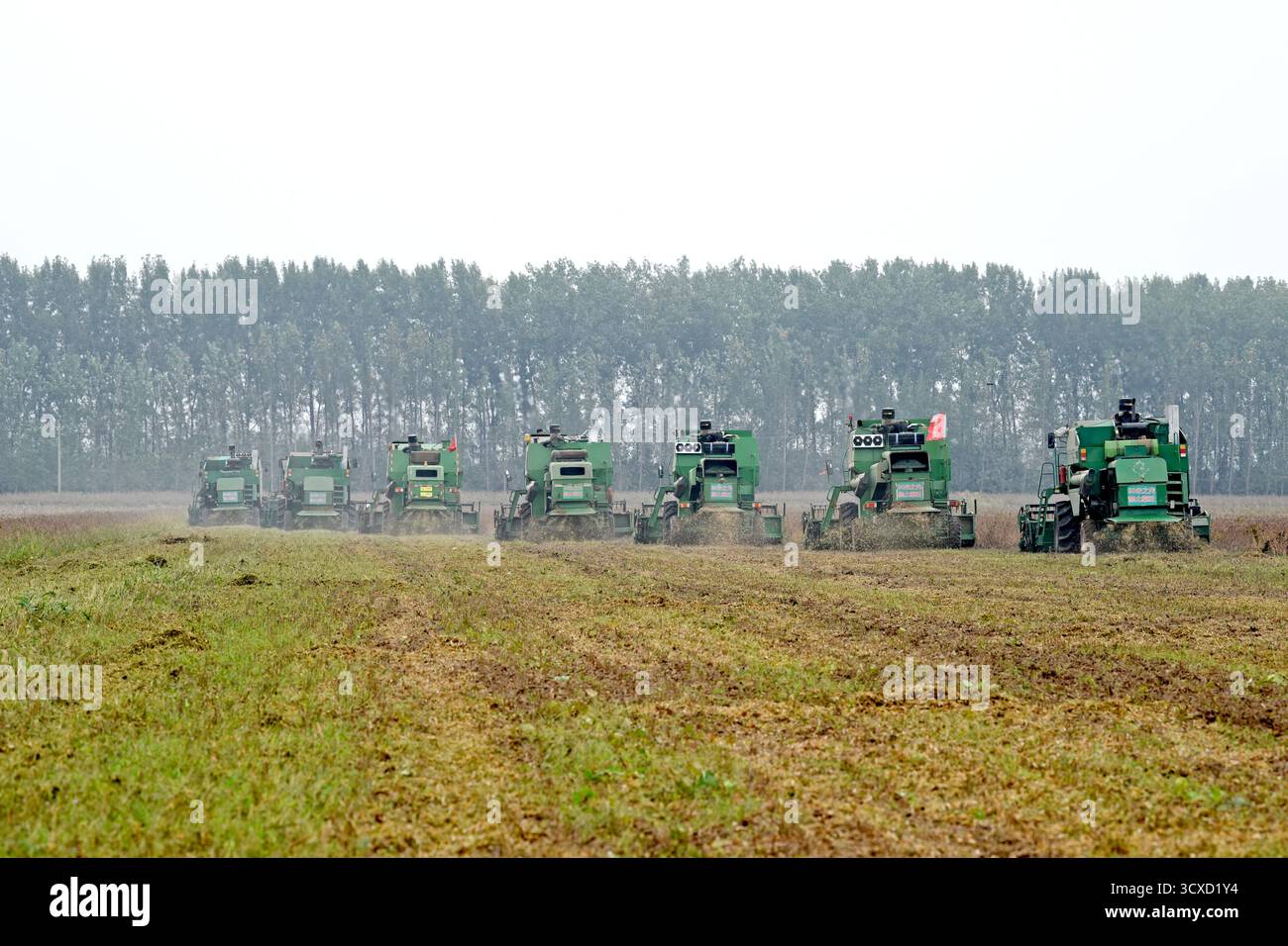 Farmers harvest crops in the field in Huainan City, east China's Anhui ...