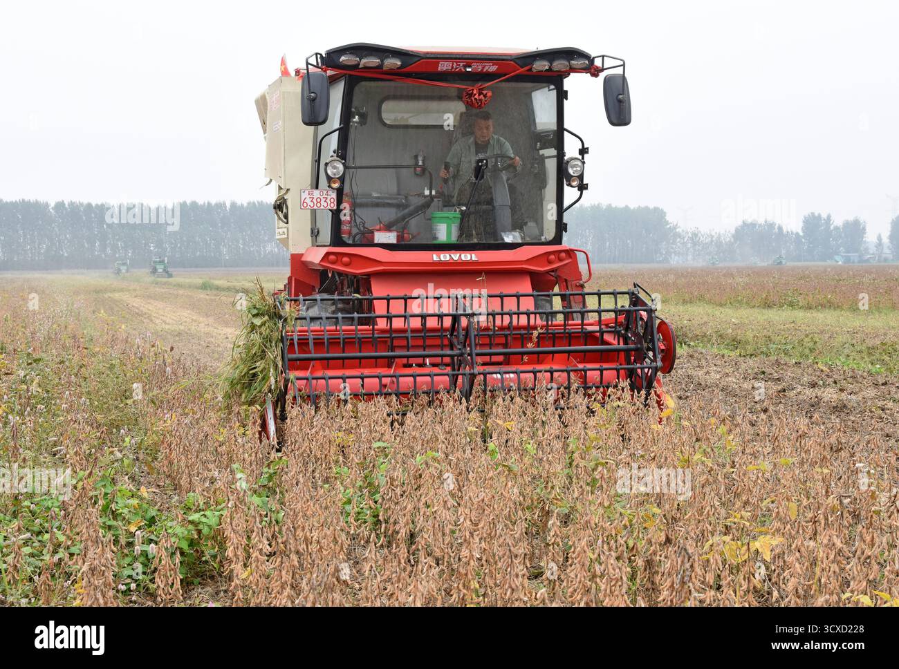 Farmers harvest crops in the field in Huainan City, east China's Anhui ...