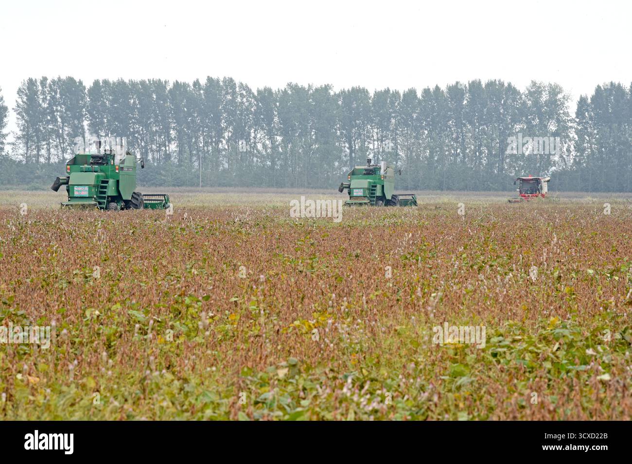 Farmers harvest crops in the field in Huainan City, east China's Anhui ...