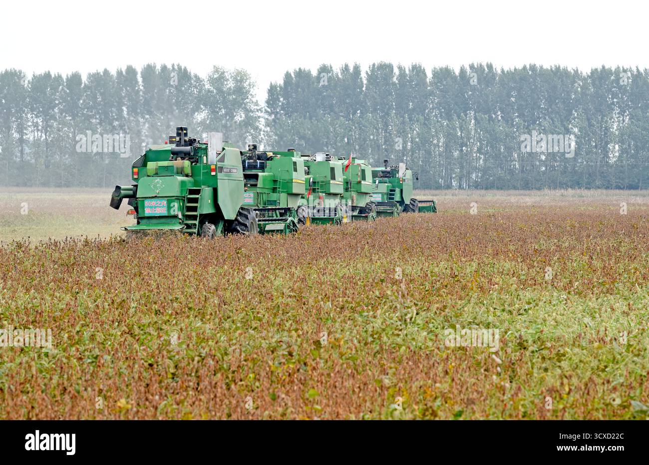 Farmers harvest crops in the field in Huainan City, east China's Anhui ...
