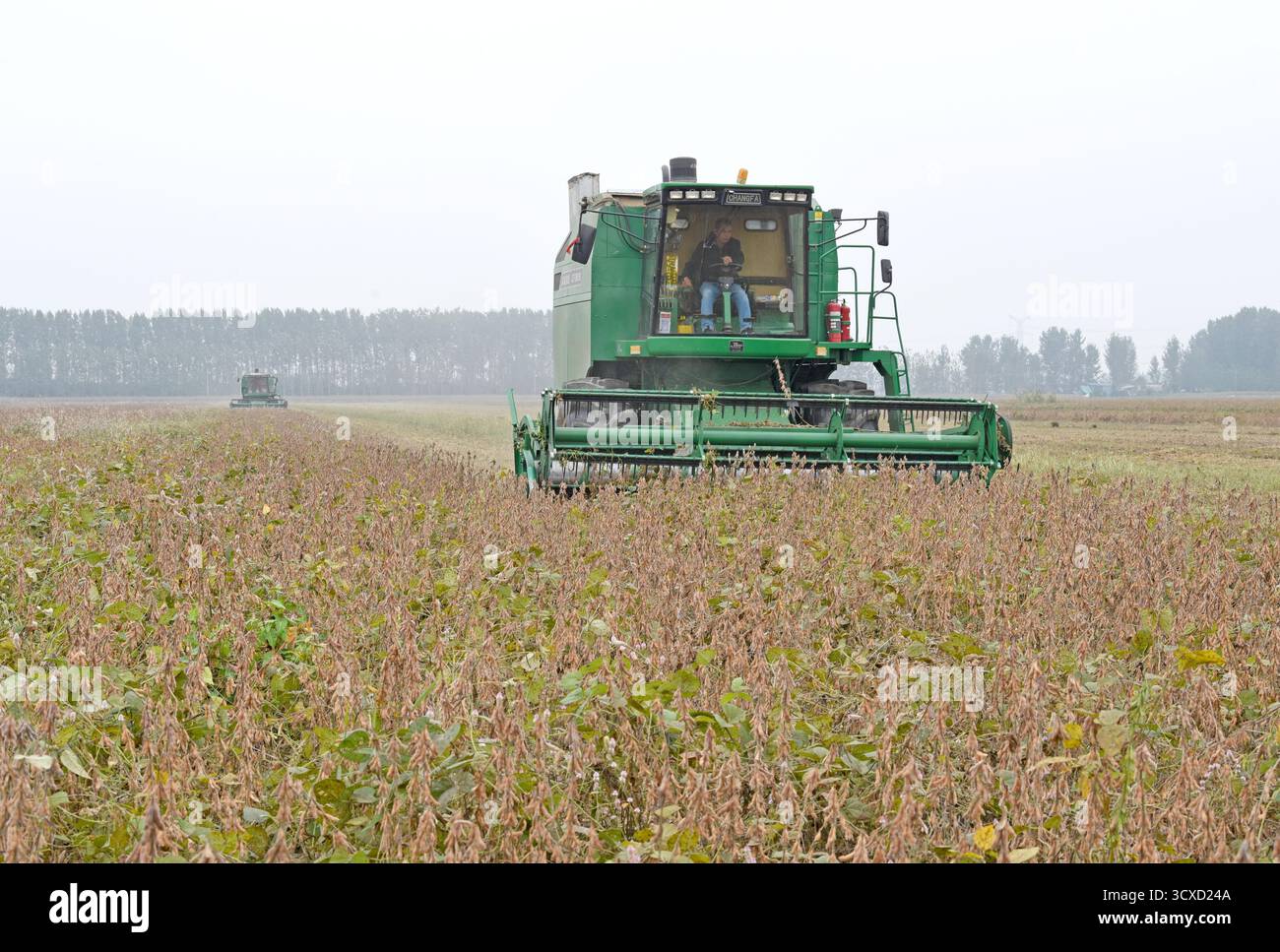 Farmers harvest crops in the field in Huainan City, east China's Anhui ...