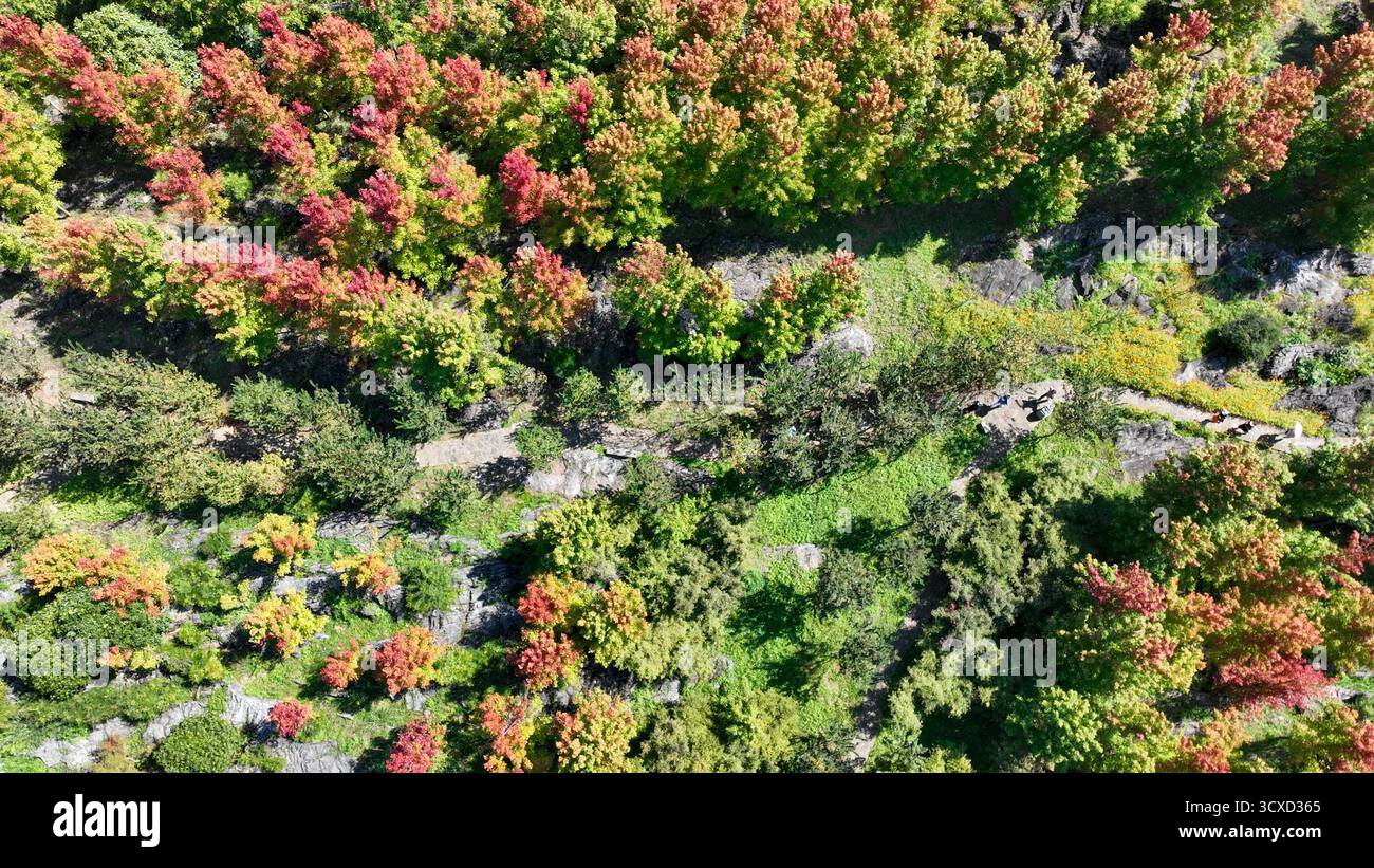 Tourists admire autumn scenery in Youyang County, Chongqing, China, 11 ...