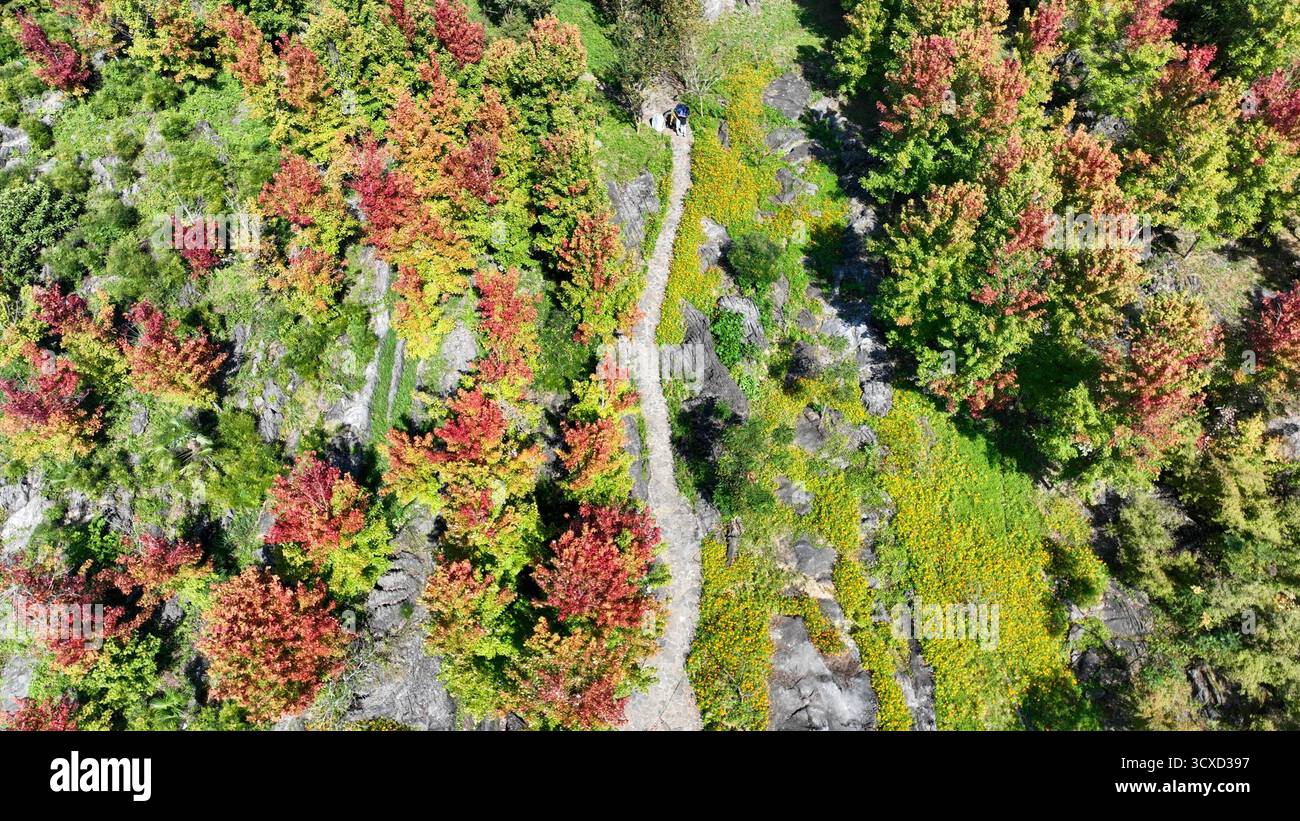 Tourists admire autumn scenery in Youyang County, Chongqing, China, 11 ...