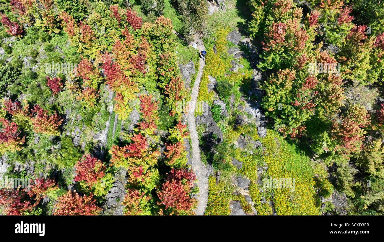 Tourists admire autumn scenery in Youyang County, Chongqing, China, 11 ...