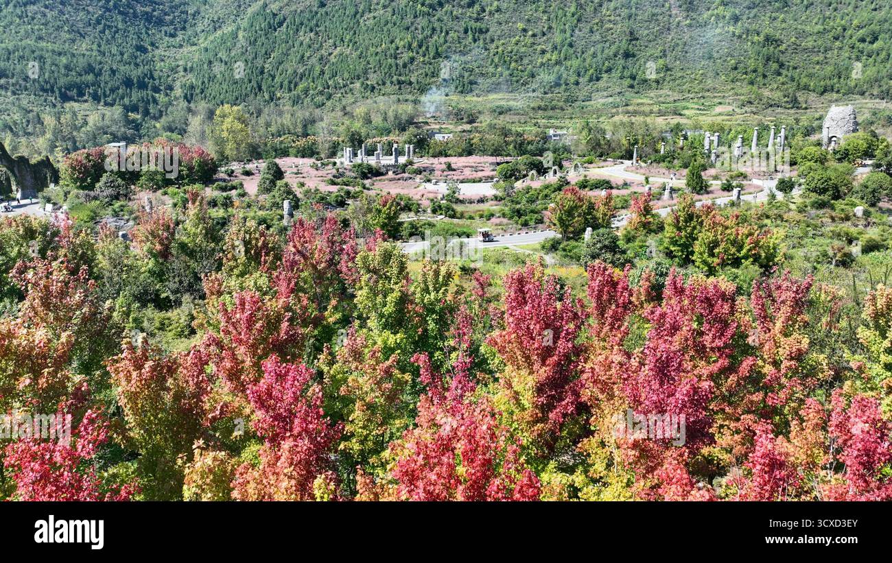 Tourists admire autumn scenery in Youyang County, Chongqing, China, 11 ...