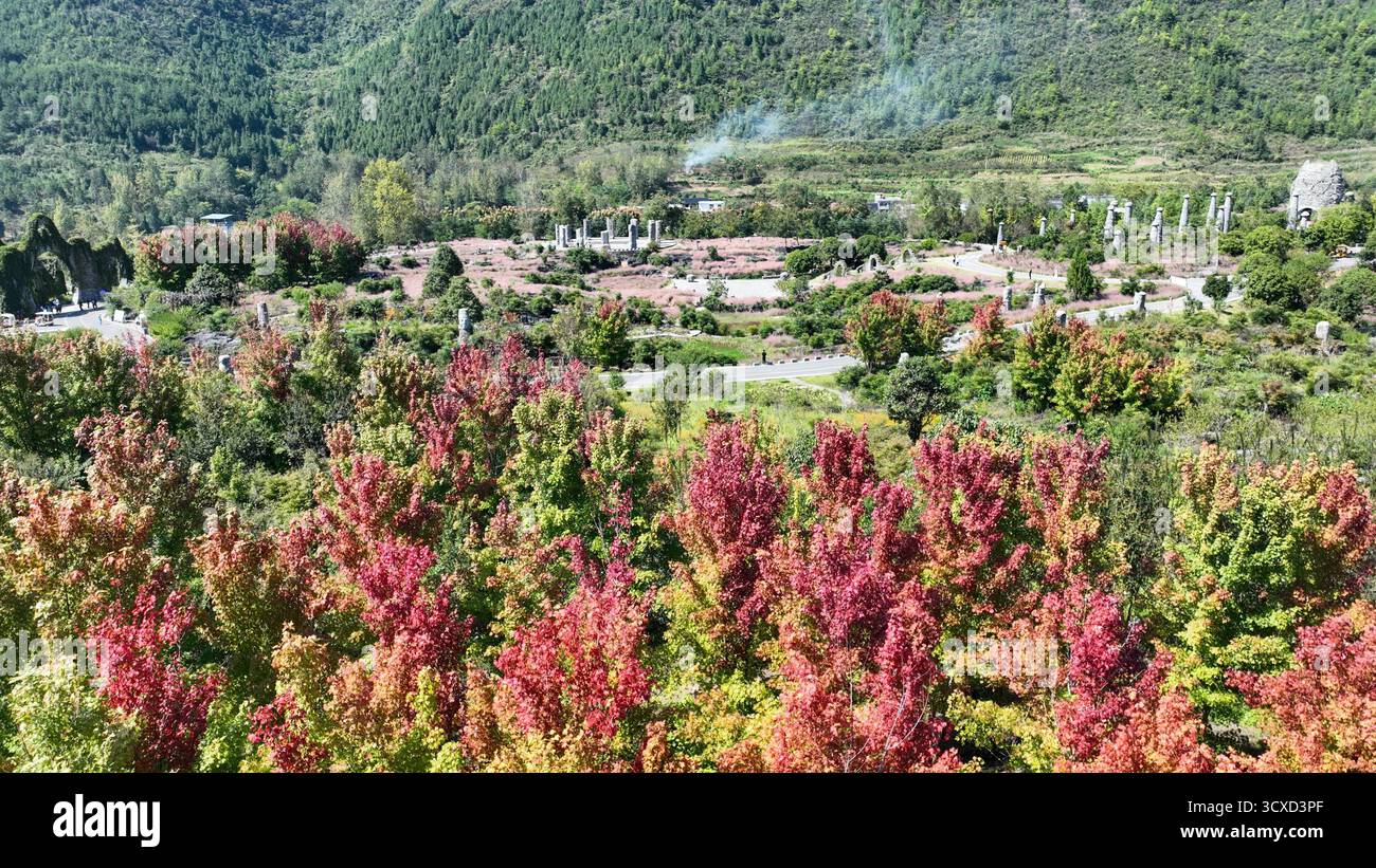 Tourists admire autumn scenery in Youyang County, Chongqing, China, 11 ...