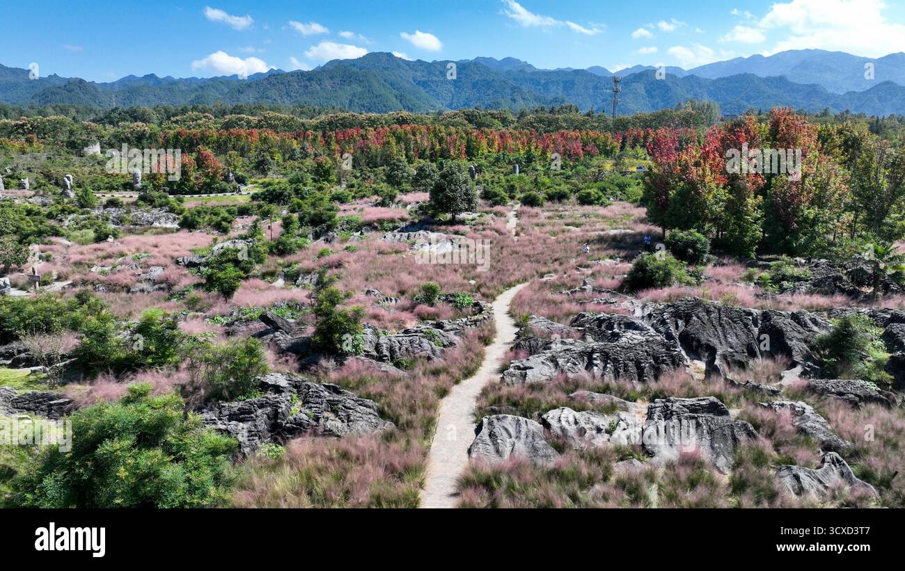 Tourists admire autumn scenery in Youyang County, Chongqing, China, 11 ...