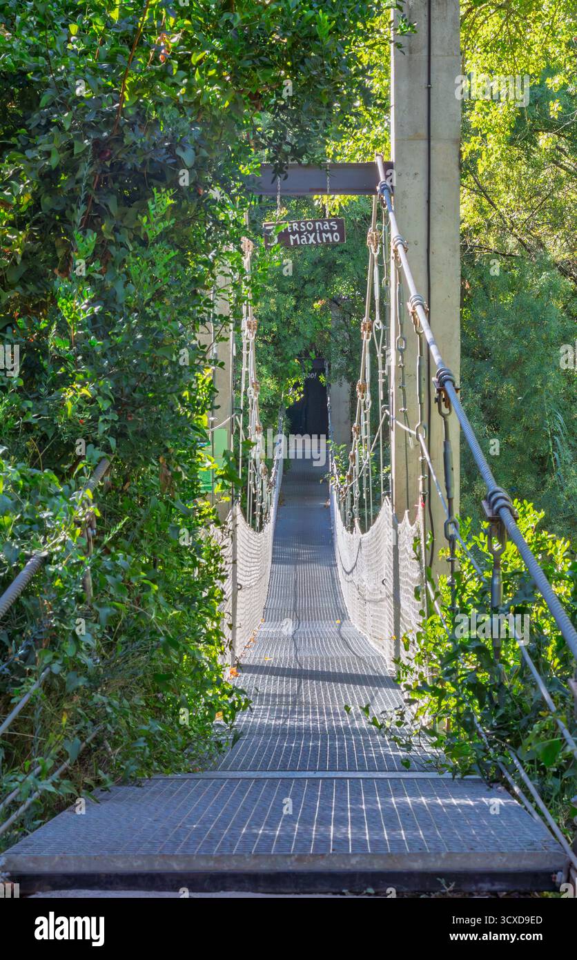 Narrow jungle trail winding through hi-res stock photography and images ...
