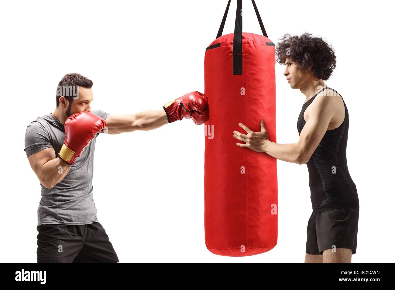 Two men training box with a punching bag isolated on white background ...