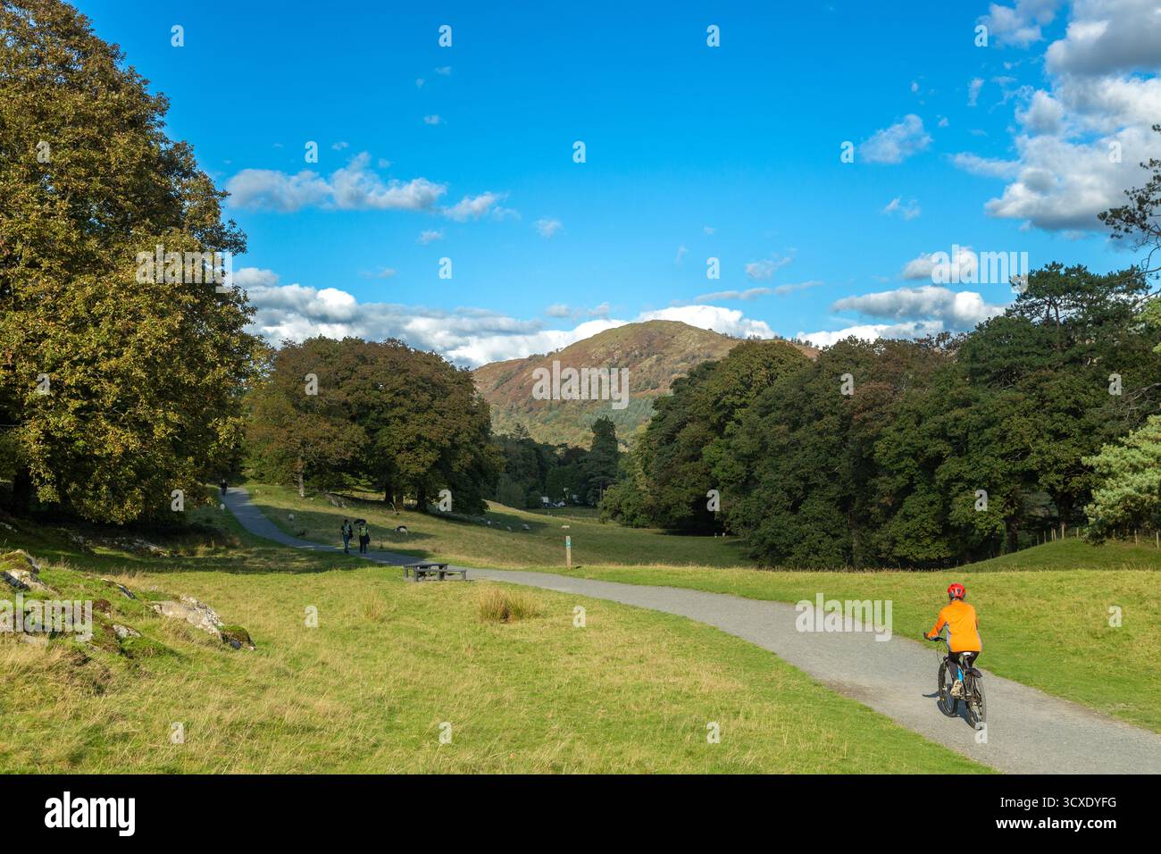 Cyclist and walkers on the footpath / cycleway between Newby Bridge and ...
