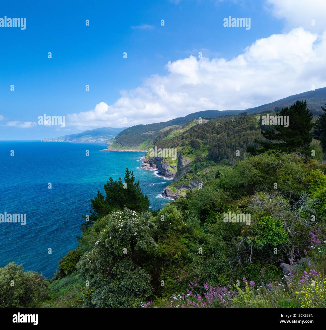 Aerial drone view of the coastal landscape around the ruins of the ...