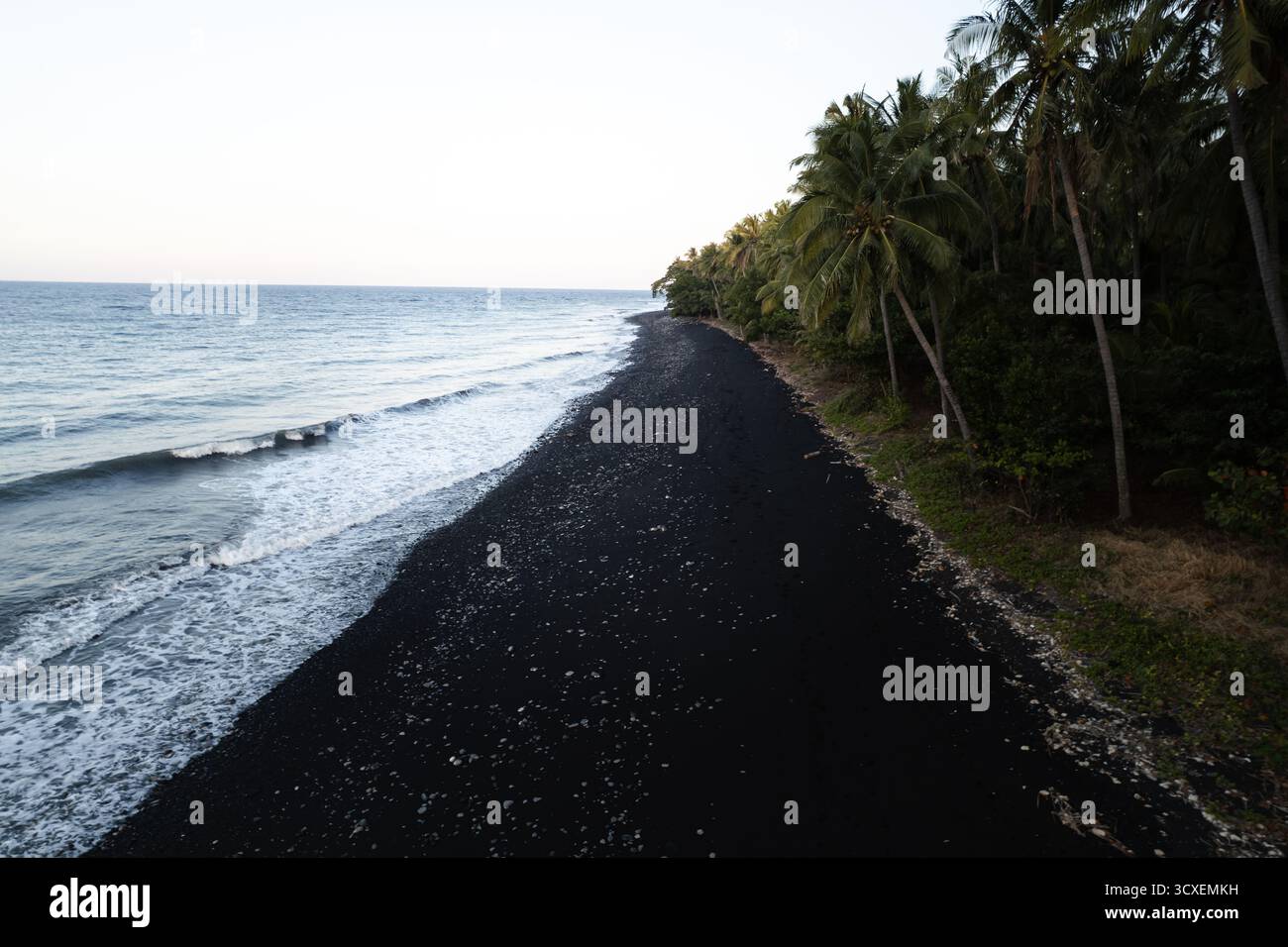 Black volcanic sand beach lined with tall coconut palms and fringed by ...