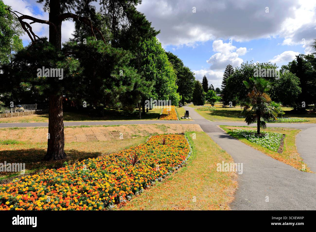 Summer view of the Miners Welfare Gardens, Bedworth town, Warwickshire ...