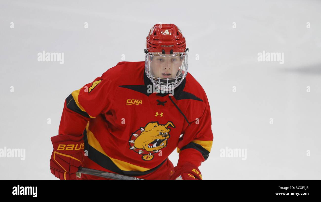 Ferris State's Christopher Lie plays during an NCAA hockey game on ...