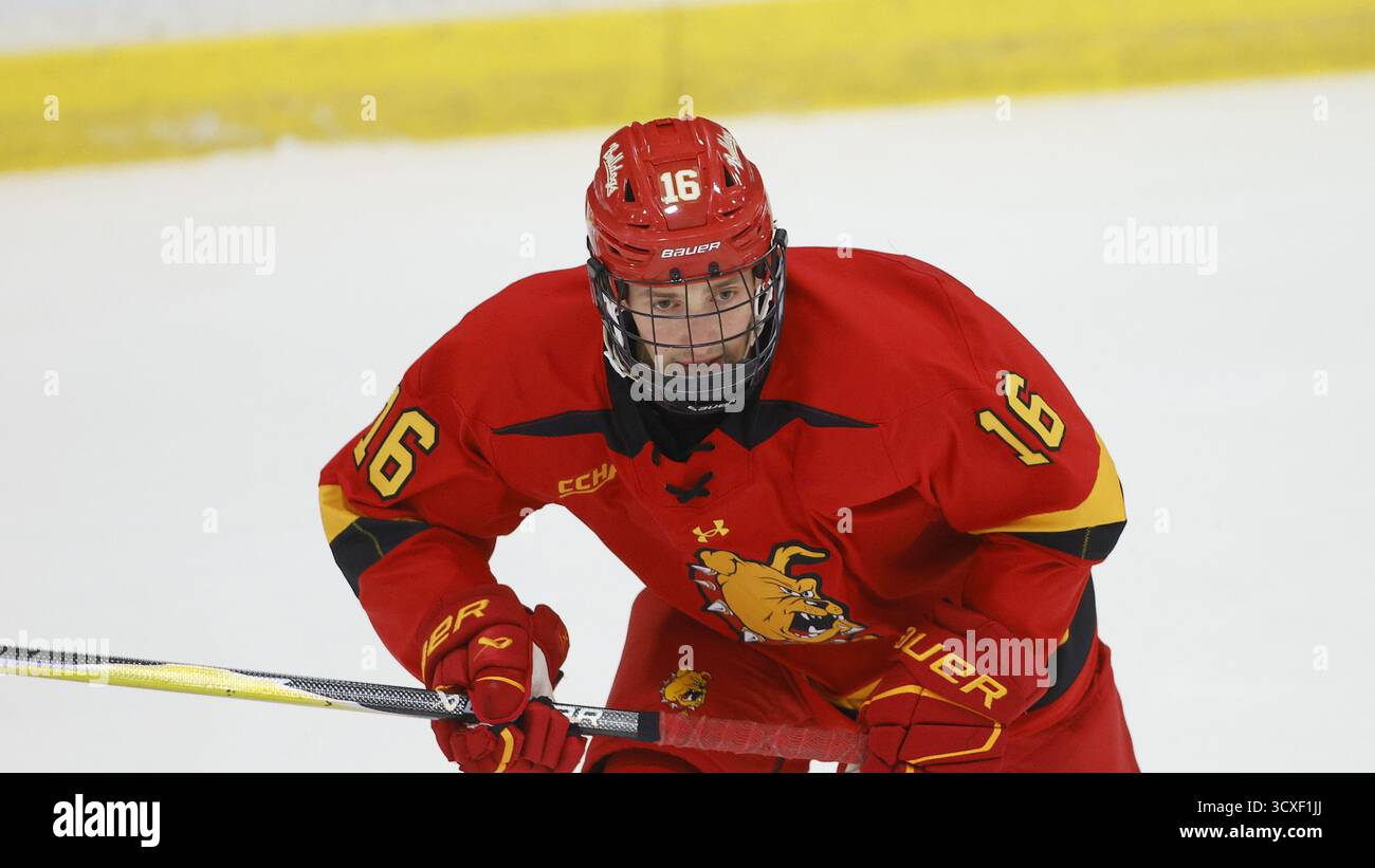 Ferris State's Holden Doell plays during an NCAA hockey game on ...