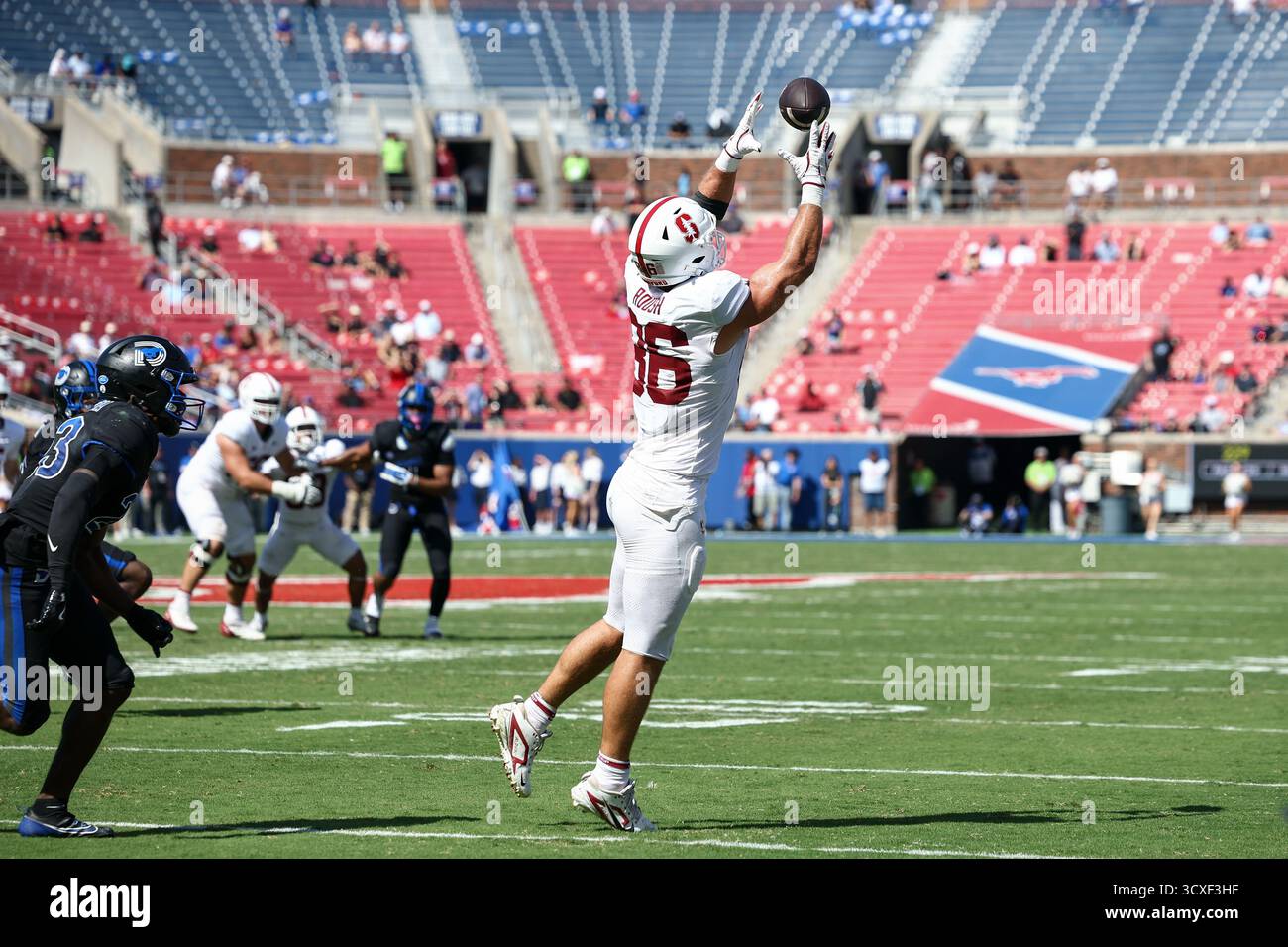 DALLAS, TX - October 11: Stanford Cardinal tight end Sam Roush (#86 ...