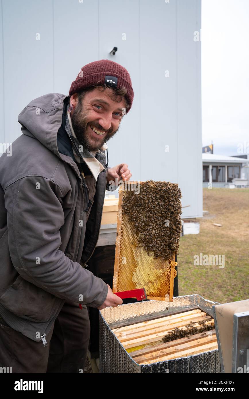 A smiling beekeeper holds a honey frame covered in bees at Dancing Bee ...