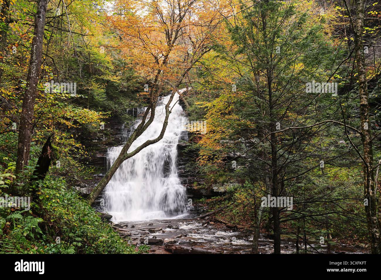 Water flows over Ganoga Falls amongst the Autumn foliage at Ricketts ...