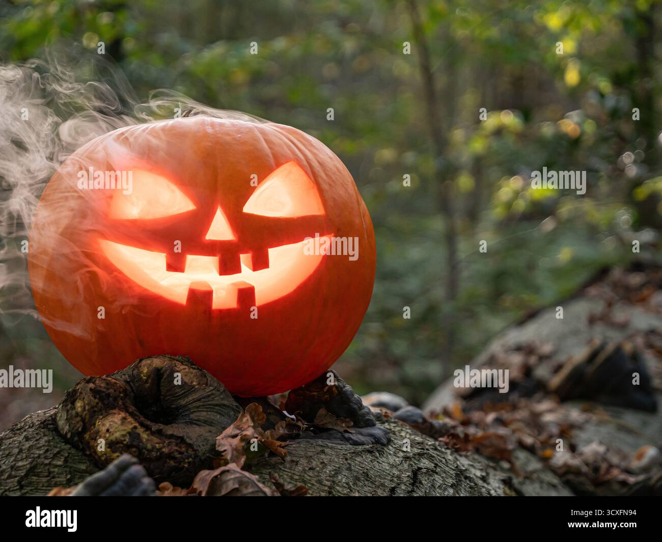 Spooky carved pumpkin glowing in autumn woods with eerie smoke swirling ...