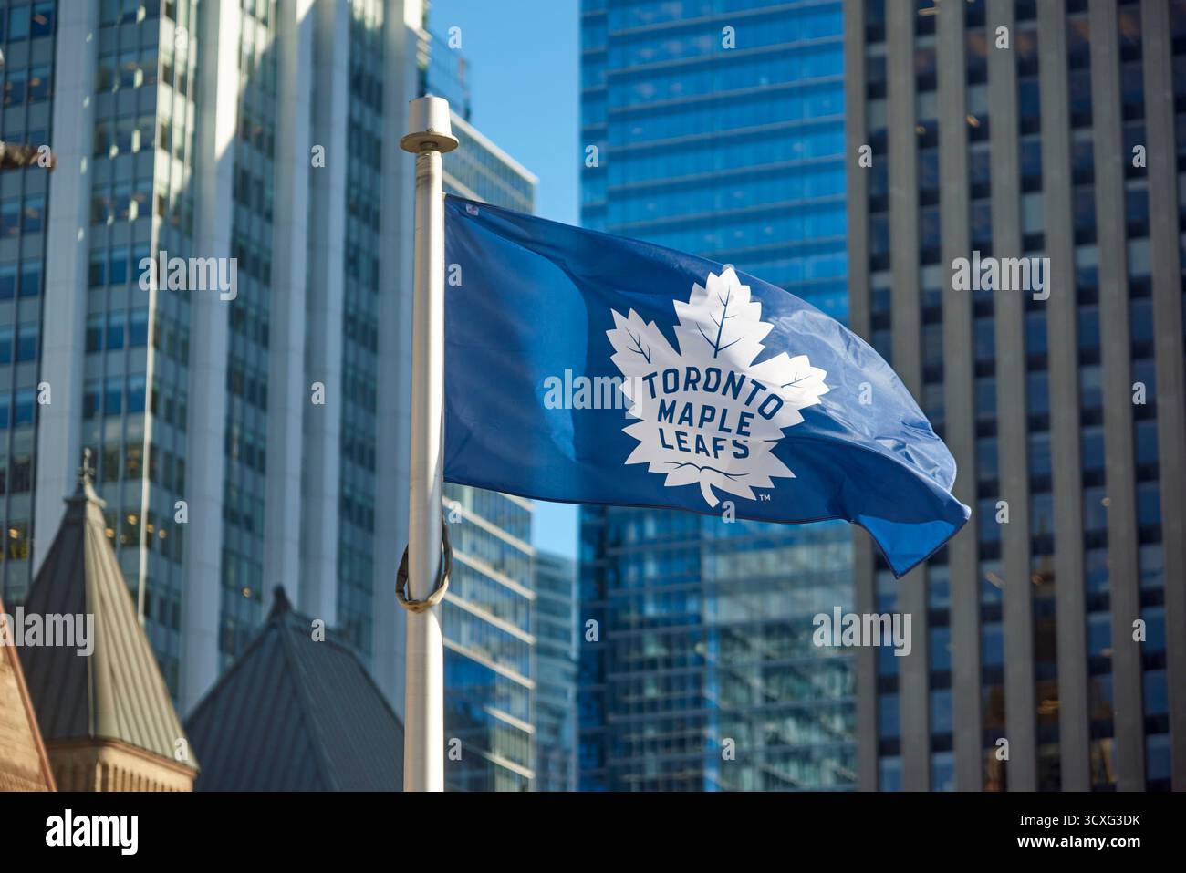 Flag on pole hockey hi-res stock photography and images - Alamy
