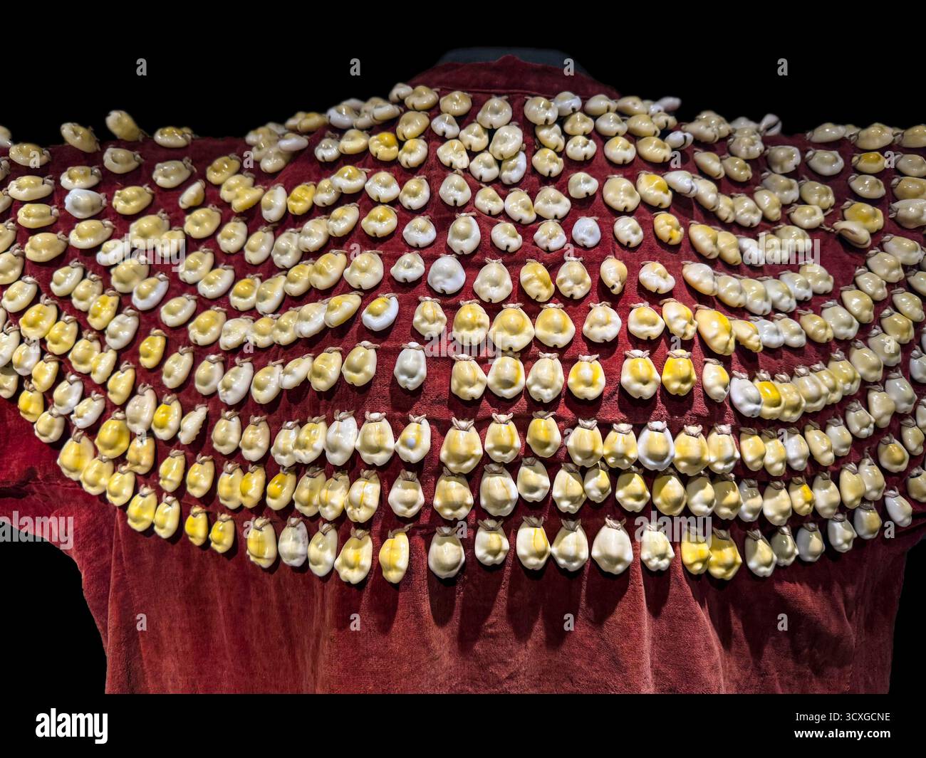 Chief Ouray brought these cowrie shells back from Washington for ...