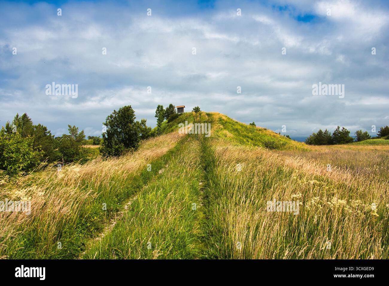 Uphill view grassy slope hi-res stock photography and images - Alamy