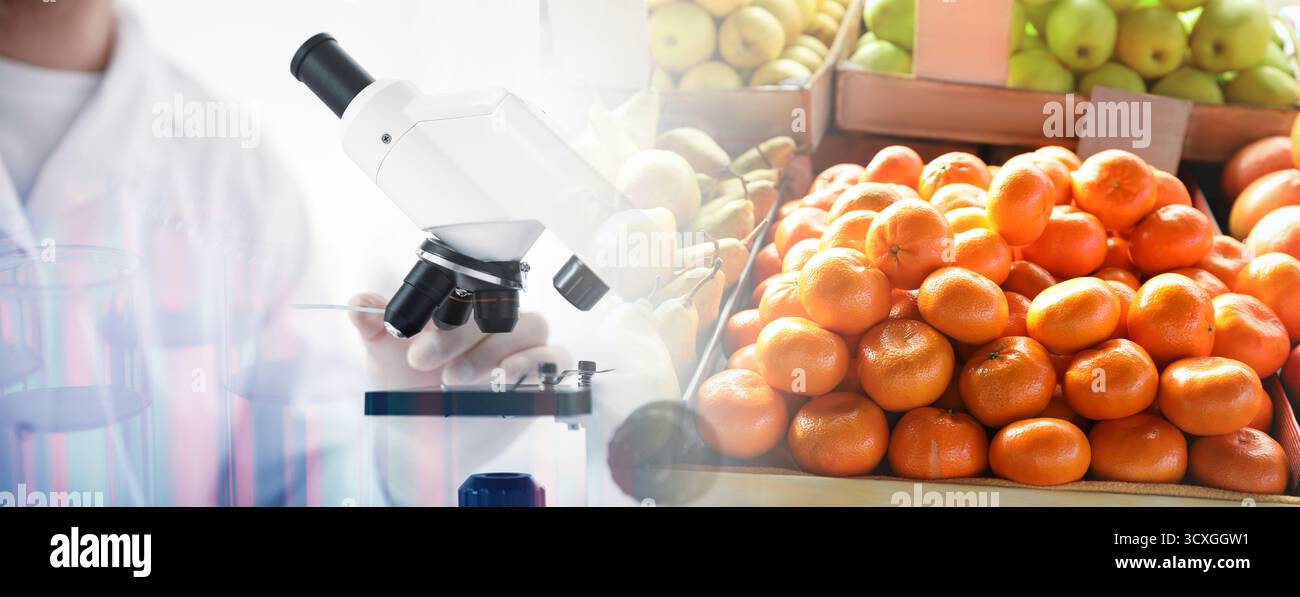 Laboratory food analysis. Expert using microscope, multiple exposure ...