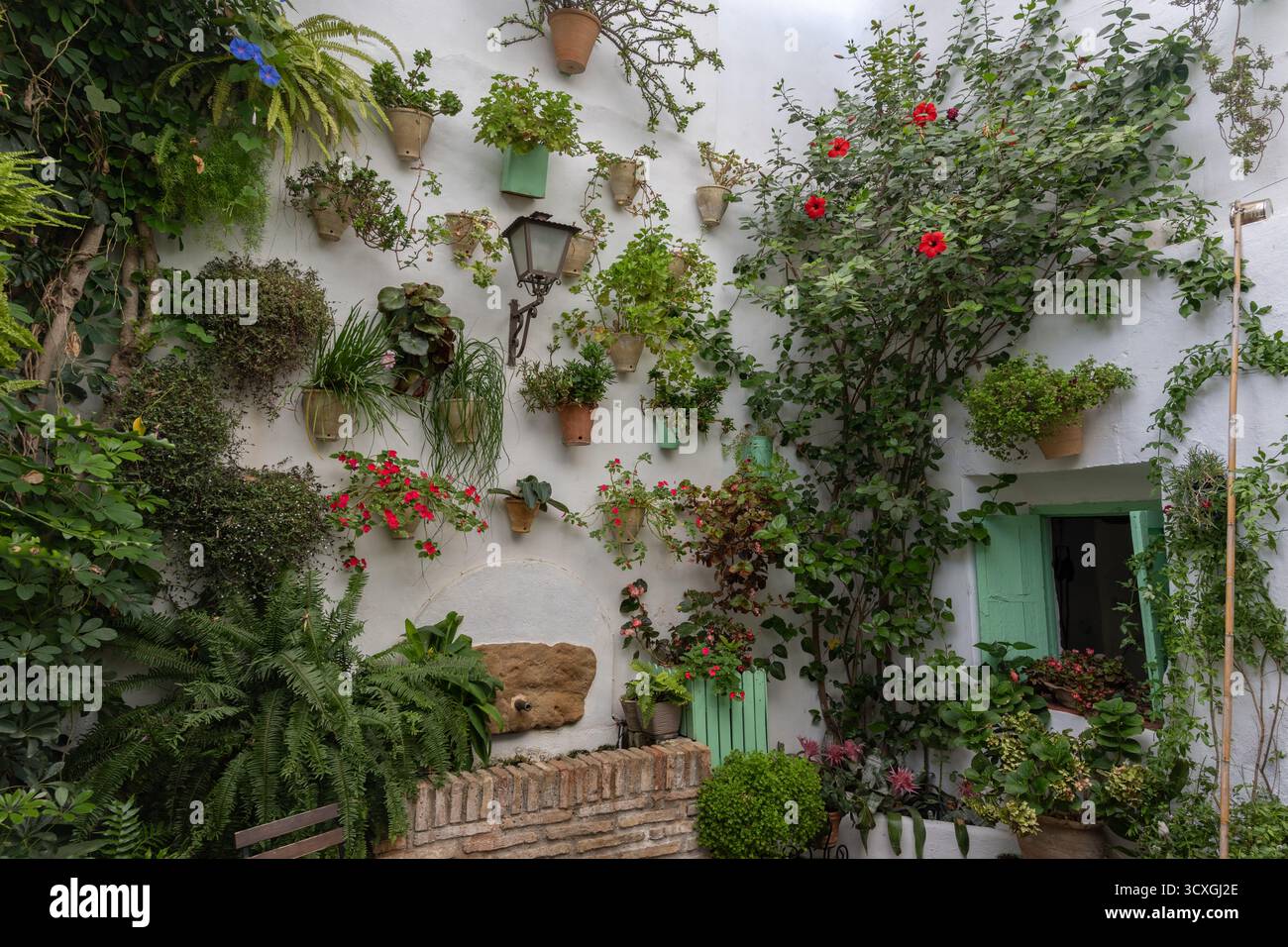 Interior view of an Andalusian patio in Cordoba featuring lush plants ...