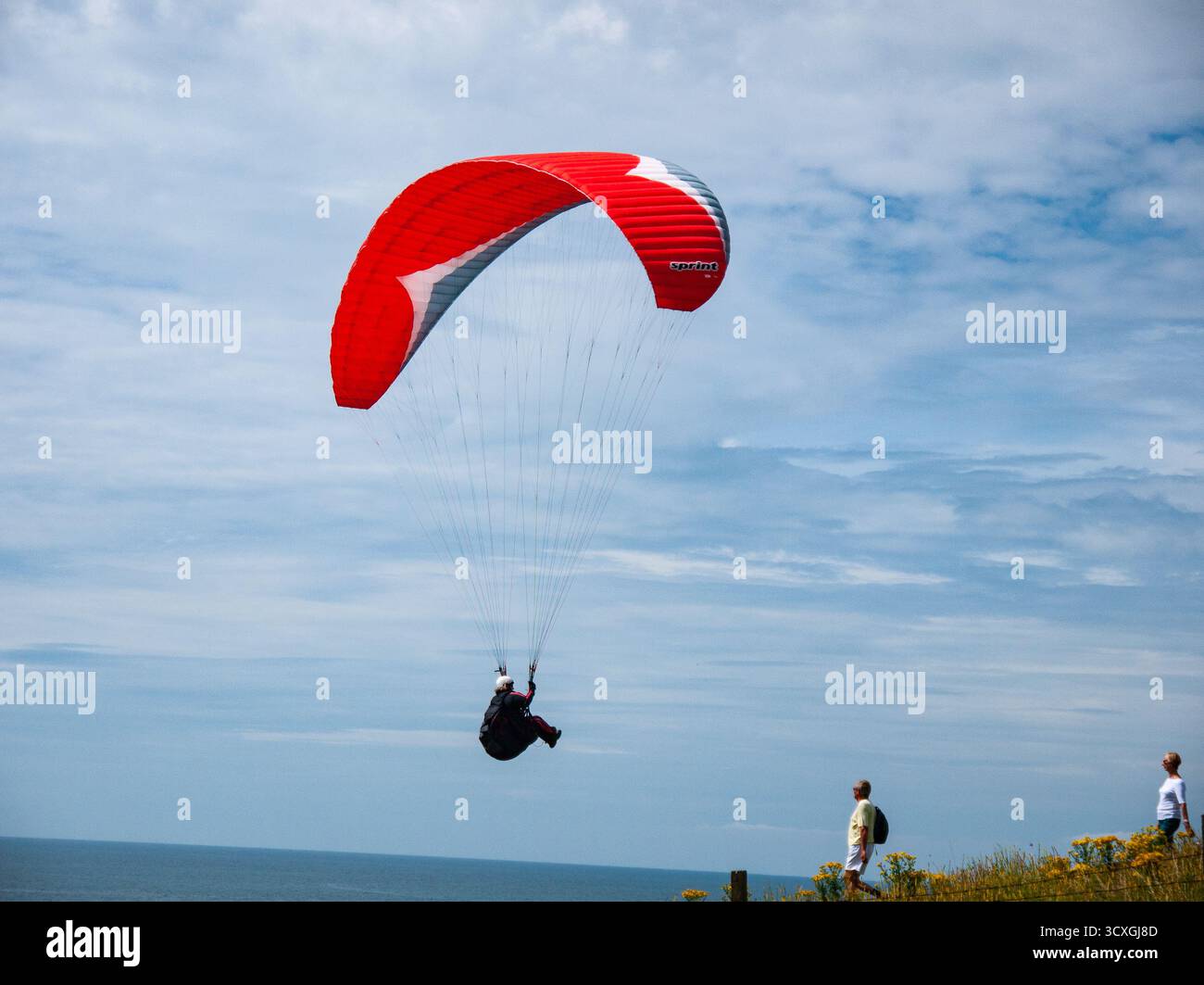 Red paraglider soaring above Dorset coast with spectators watching from ...