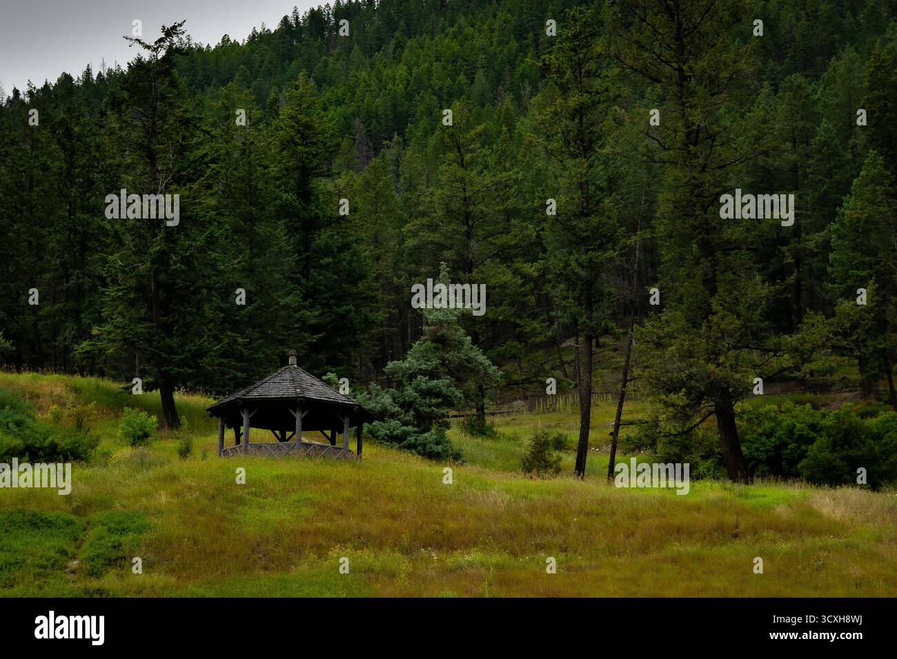 Scenic gazebo nestled amidst a lush forest backdrop. Peaceful outdoor ...